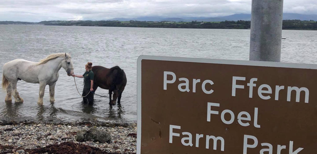 Foel Farm Park, Anglesey - Contact Information and Map